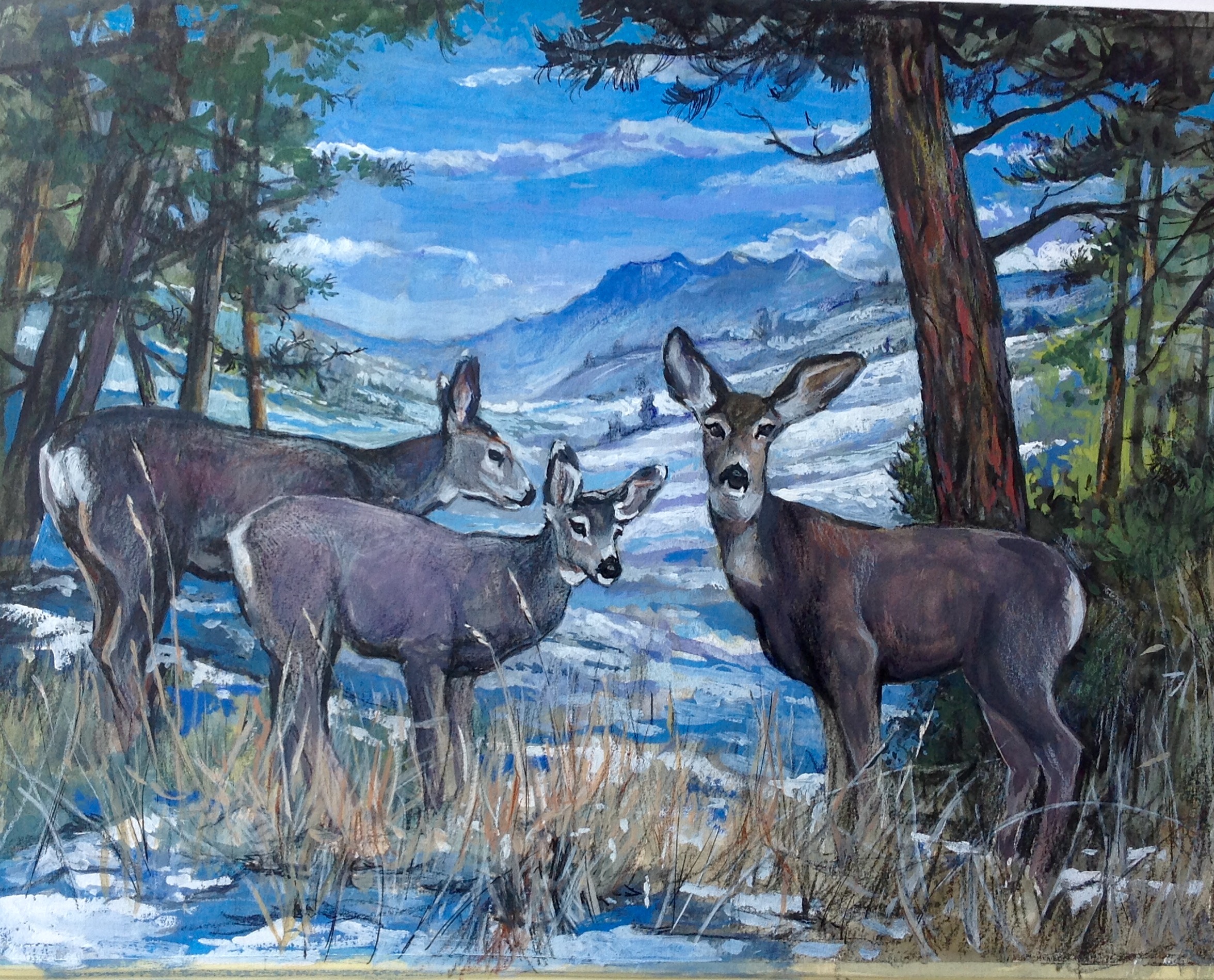 Mule Deer & Flatirons, Boulder, Colorado | neil robertson paintings